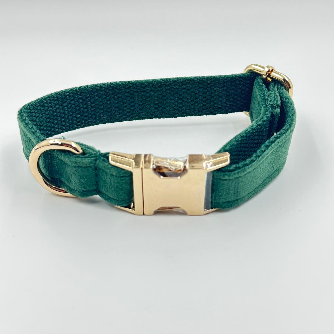 Royal Collar & Leash - Exclusive Order Now